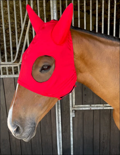 Lycra Racing Hood with Padded Ears For Horse - Red and Black – Equine World
